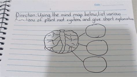 Date Direction Using The Mind Map Below List Studyx