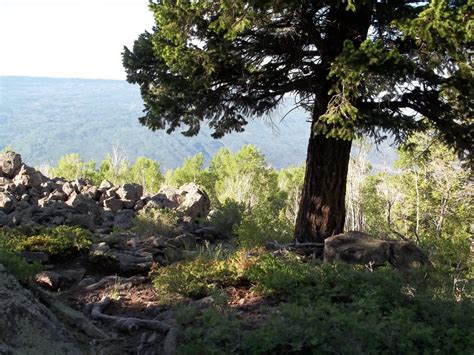 Switchback Trail