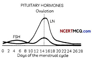 How Do Organisms Reproduce Class 10 MCQ Online Test With Answers