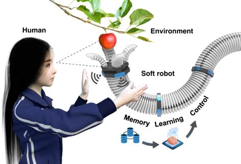 Touchless Interactive Teaching Of Soft Robots Through Flexible Bimodal Touchless Interactive Teaching Of Soft Robots Through Flexible Bimodal