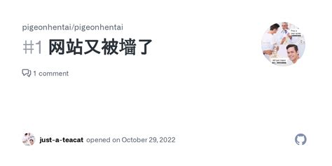 网站又被墙了 Issue 1 pigeonhentai pigeonhentai GitHub