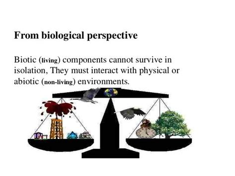 Man And Environment