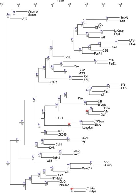 Dendrogram Resulting From The Bootstrapping Cluster Analysis Bca