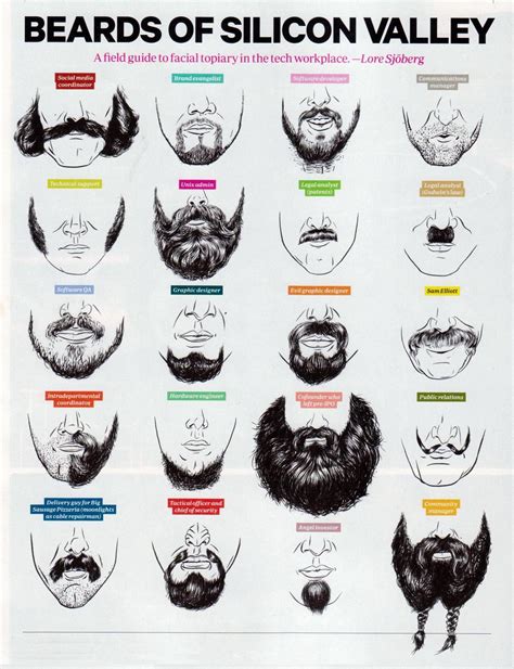Types Of Beards Chart