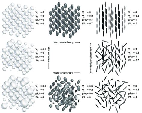 Schematic Representation Of Divide Parameters In Eight Different