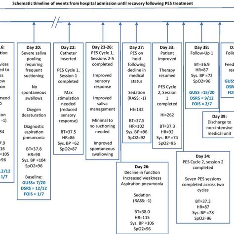 Functional Oral Intake Scale Fois Dysphagia Assessments A 7 Point
