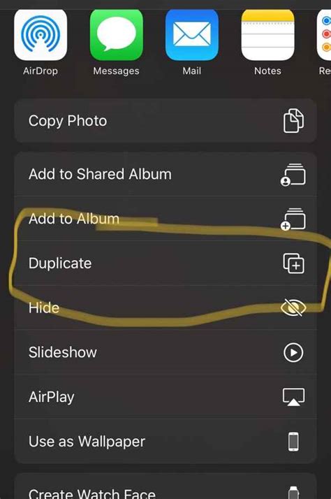Duplicate Photo Option Missing In Ios 16 How To Fix Droidwin