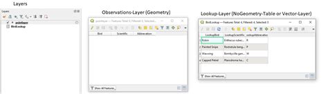 Attribute Table Automatic Fill In Of Columns In Qgis Geographic Information Systems Stack