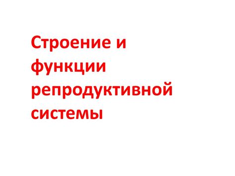 Строение и функции репродуктивной системы презентация онлайн