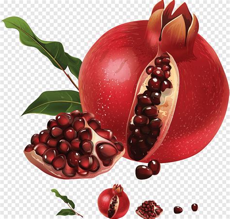 فاكهة الرمان، عصير الرمان، تصوير، رمان الأطعمة الطبيعية فروتي دي