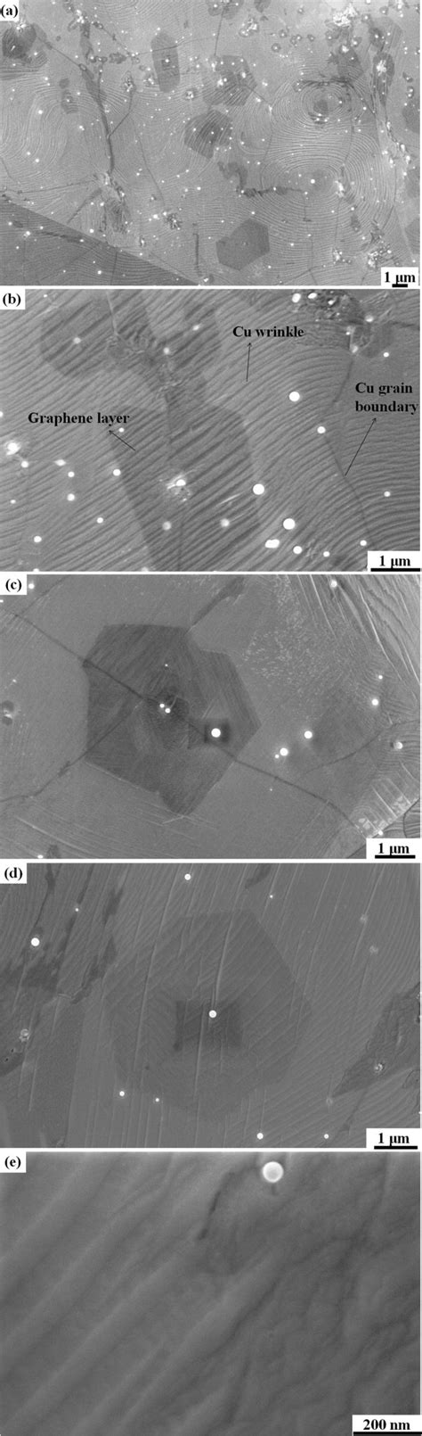 Surface Diffusion Coefficient Of Au Atoms On Single Layer Graphene