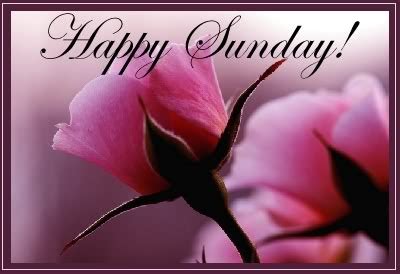 Sexy Happy Sunday Quotes Quotesgram