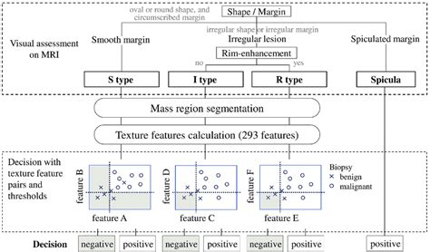 discrimination scheme of masses using texture values of dce parametric