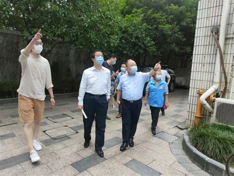 聚焦 陈志奇联系检查打浦桥街道创全工作澎湃号·政务澎湃新闻 The Paper