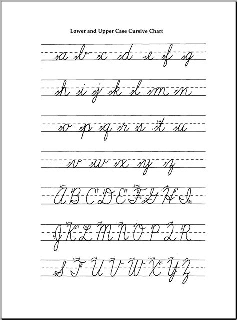 Upper And Lowercase Cursive