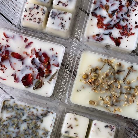 Scented Wax Melts Etsy