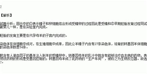 中国科学院上海遗传研究所和复旦大学合作 培育出含有人凝血因子基因的转基因羊 在这些羊的乳汁中含有能够治疗血友病的珍贵药物 转基因羊的培育过程