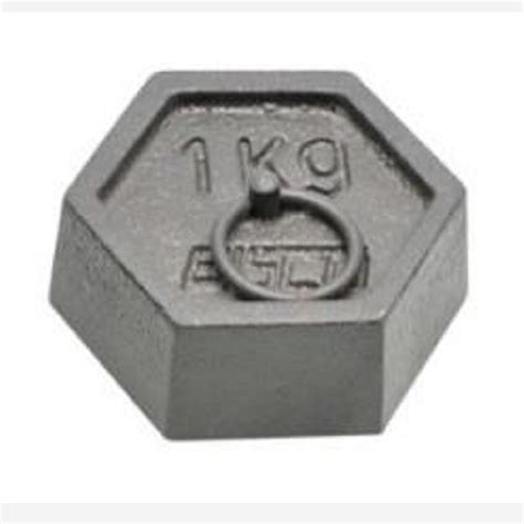 Mass Piece Iron 100g Experilab