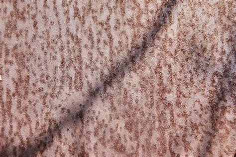 Premium Photo Background Metal Texture With Rust For Product Photography