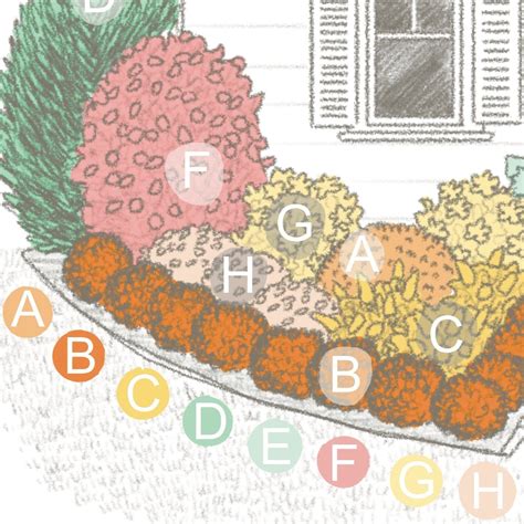 9 Hydrangea Look Alikes Proven Winners Colorchoice Flowering Shrubs