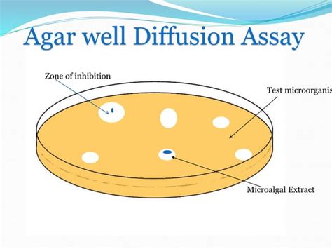 Bioprospecting Of Microalgae For Bioactive Secondary Metabolites Pptx Biological Sciences