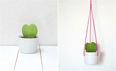 DIY Hanging Planter With Colorful String