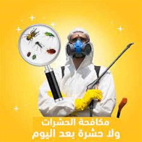 رش المبيدات الحشرية للتخلص من الحشرات المنزلية