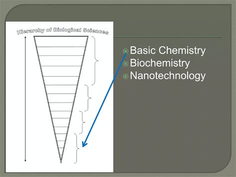 Hierarchy Of Biology Ppt
