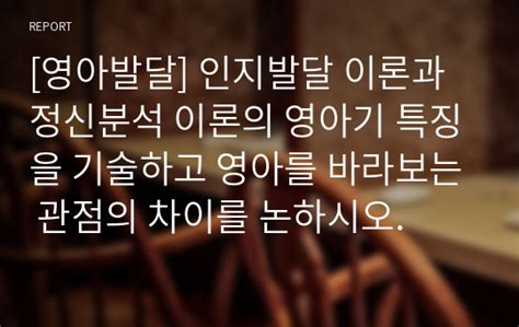 영아발달 인지발달 이론과 정신분석 이론의 영아기 특징을 기술하고 영아를 바라보는 관점의 차이를 논하시오 레포트