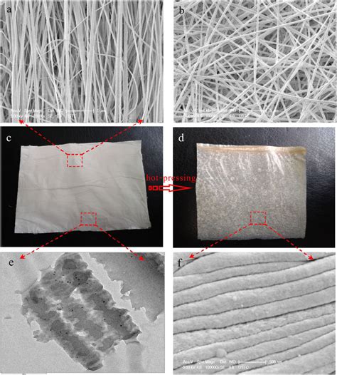 Surface Sem Of Electrospun Fiber Mats At Various Surface Velocities