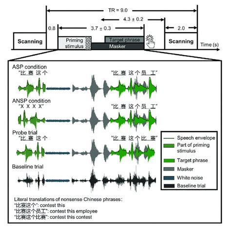 Schematic Of A Single Trial Presenting Sound Stimuli In A Functional Download Scientific