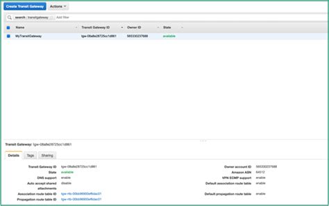 How To Implement Cato Vsocket In Aws Multiple Vpcs Environment Cato