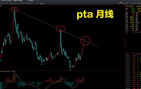 疯涨的pta多头有见顶风险了 财富号 东方财富网