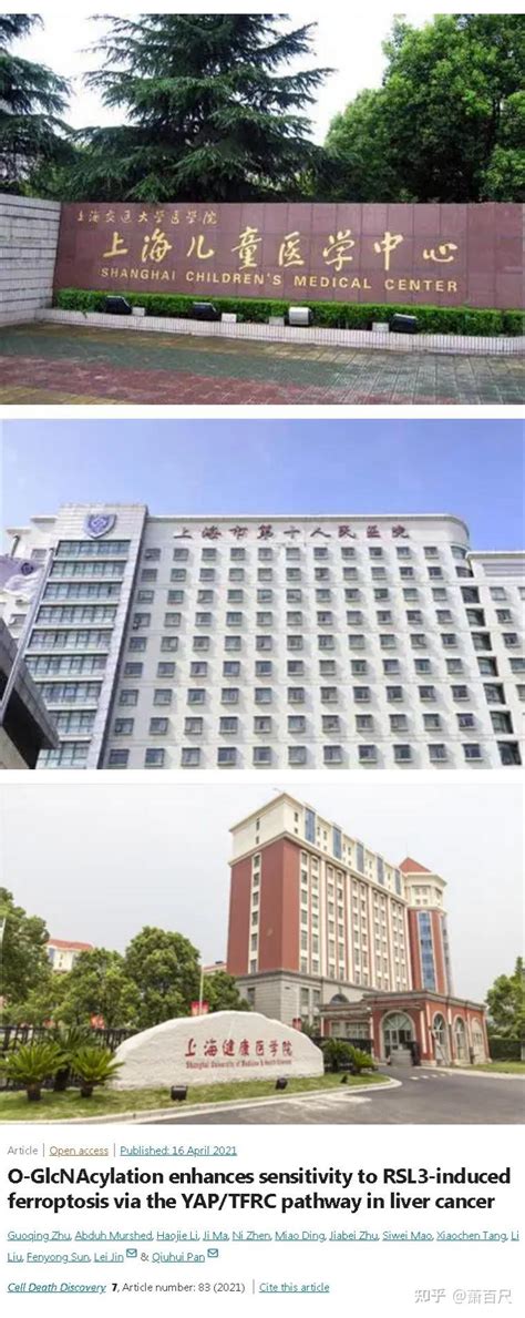 与他人出版物图片重复，上海市第十人民医院的论文被质疑 知乎