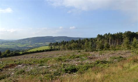 Cleared Forest On Croydon Hill David Smith Cc By Sa 2 0 Geograph