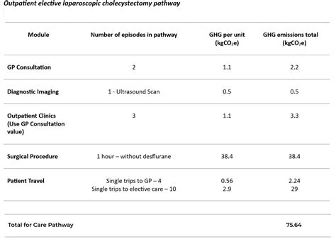 How To Appraise A Patient Care Pathway Sustainable Healthcare Coalition