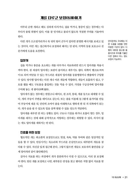 알라딘 미리보기 개 질병의 모든 것
