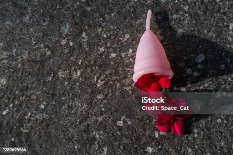 회색 배경에 여성의 기간을 상징 꽃 꽃잎 실리콘 생리 컵 재사용 가능한 친환경 여성 위생 제품 제로 폐기물 지속 가능한 플라스틱 무료 라이프 스타일 0명에 대한 스톡 사진