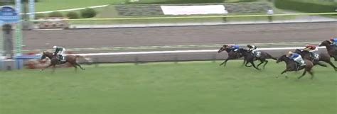 ラジオnikkei賞2020結果・優勝馬はバビット 競馬で生活する僕は