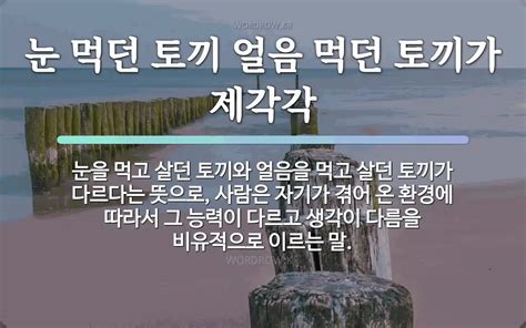 속담 눈 먹던 토끼 얼음 먹던 토끼가 제각각
