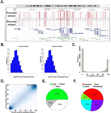 Enhanced Reduced Representation Bisulfite Sequencing For Assessment Of