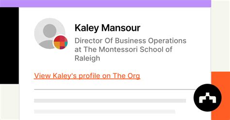 Kaley Mansour Director Of Business Operations At The Montessori