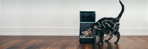 7 Must Have Gadgets For Your Pet Wiproo