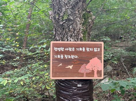 제가 매주 오르는 산에 걸려있는 글귀입니다 언제부터 이 글귀가 나무에 걸려 있었는지는 모르겠지만 취업을 준비하던 20대 때에도 이 글귀를 봤던 기억이 납니다 매일 새로