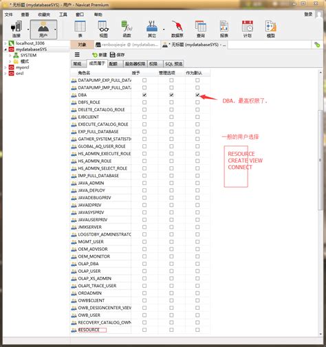 Navicat 关于orcale新建表空间，用户和权限分配navicat Oracle给用户分配最高权限 Csdn博客