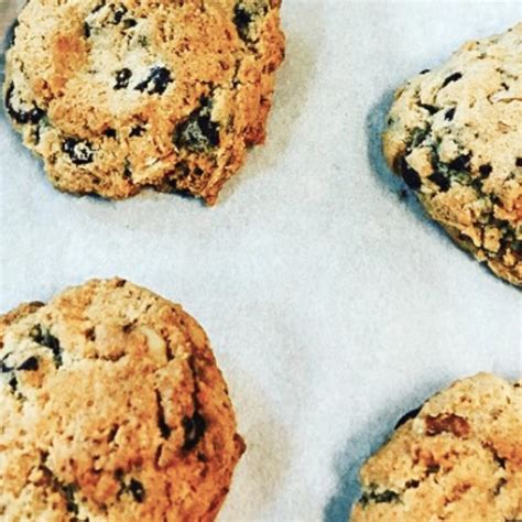 Wrights Farm Frozen Chocolate Chip Cookie Dough 20 Oz Belocal