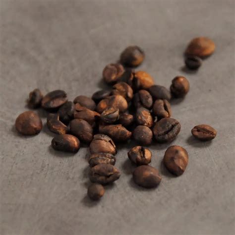 Le marc de café est il bon pour les orchidées et comment lutiliser en tant quengrais Recette