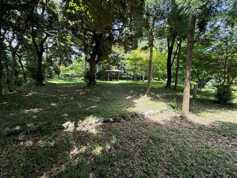 静岡古城研究会