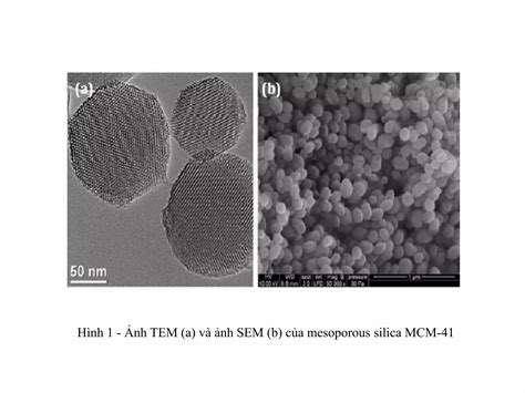 Tổng Hợp Mesoporous Silicamcm 41 Pptx