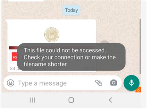 Wont Able To Open PDF In WhatsApp Issue Issue Resolved